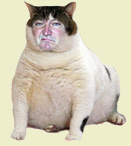 Union Fat Cats Go Into Hiding – Guido Fawkes