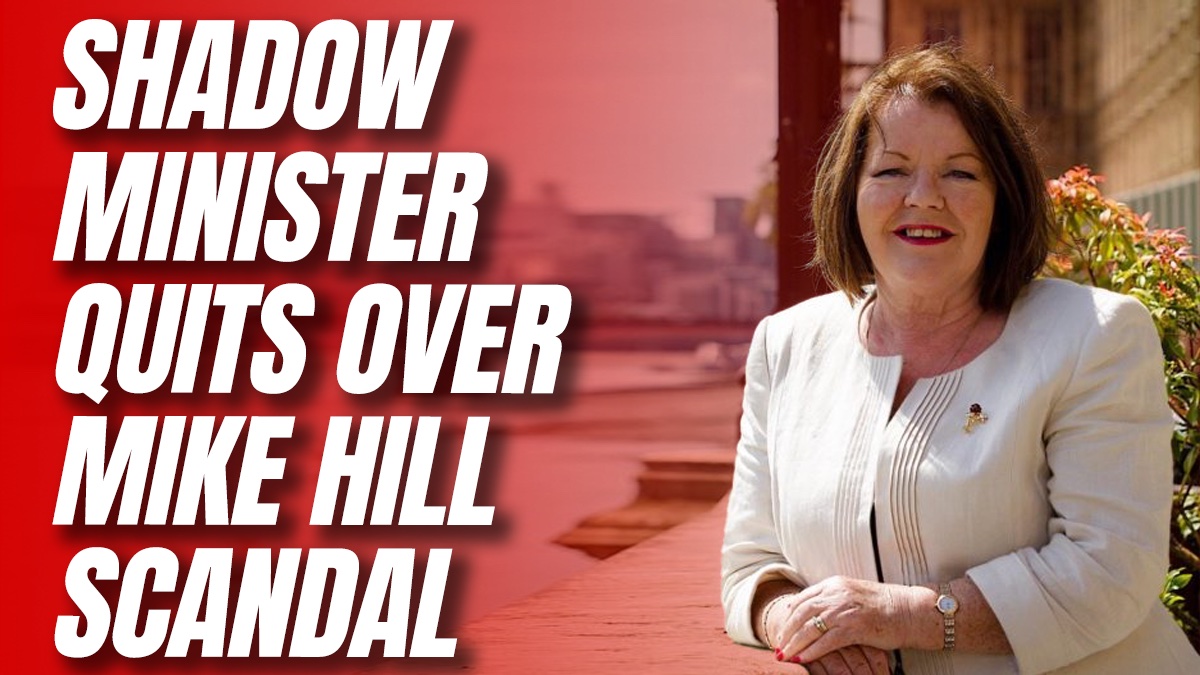 Shadow Minister Kate Hollern Resigns over Mike Hill Scandal – Guido Fawkes