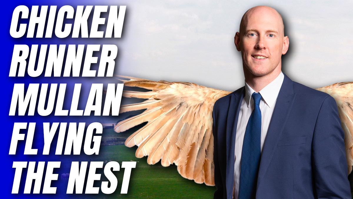 Notorious Chicken Runner Kieran Mullan Announces He's Standing Down ...