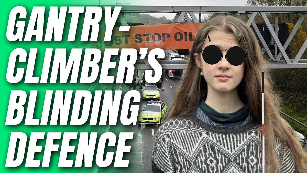 Just Stop Oil Gantry Climber's Bizarre Defence In Court – Guido Fawkes