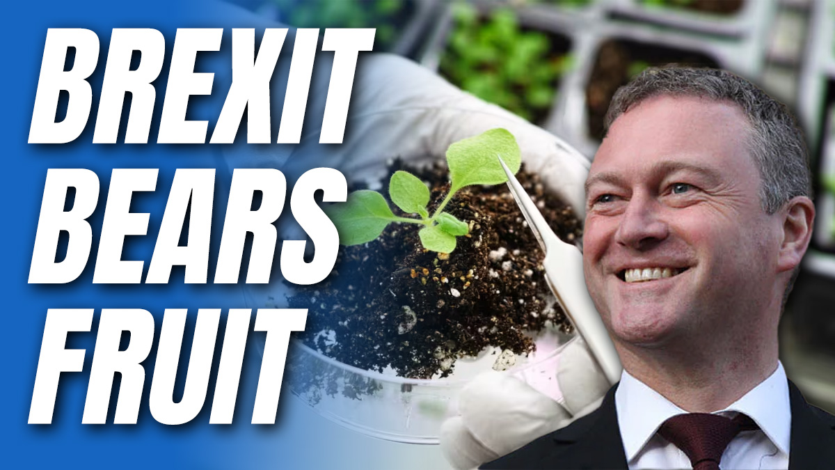 Post-Brexit UK Ploughs Ahead With Gene Editing Laws Leaving EU Behind ...