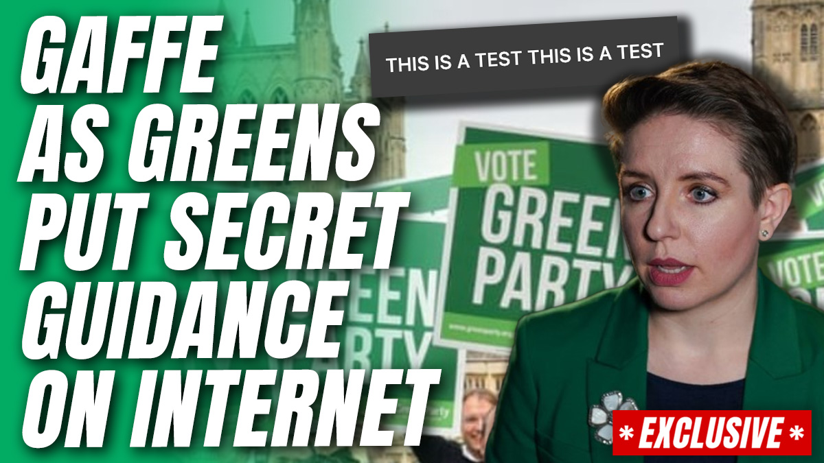 EXC: Green Party Data Breach as Reams of Private Documents Available ...
