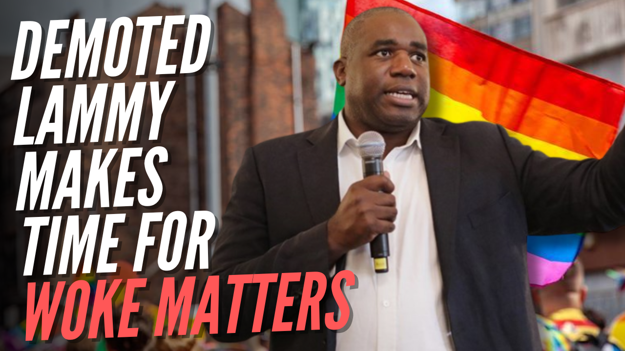 'DPM' Lammy Meets Three Separate Woke Civil Service Networks in a Week ...